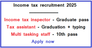 income tax recruitment 2025